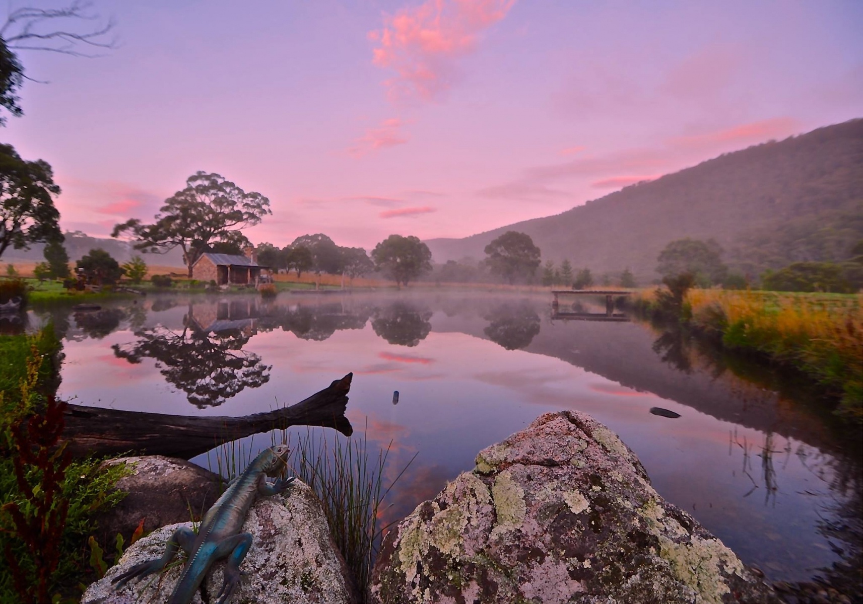 Moonbah Hut Photo Gallery - Moonbah Hut