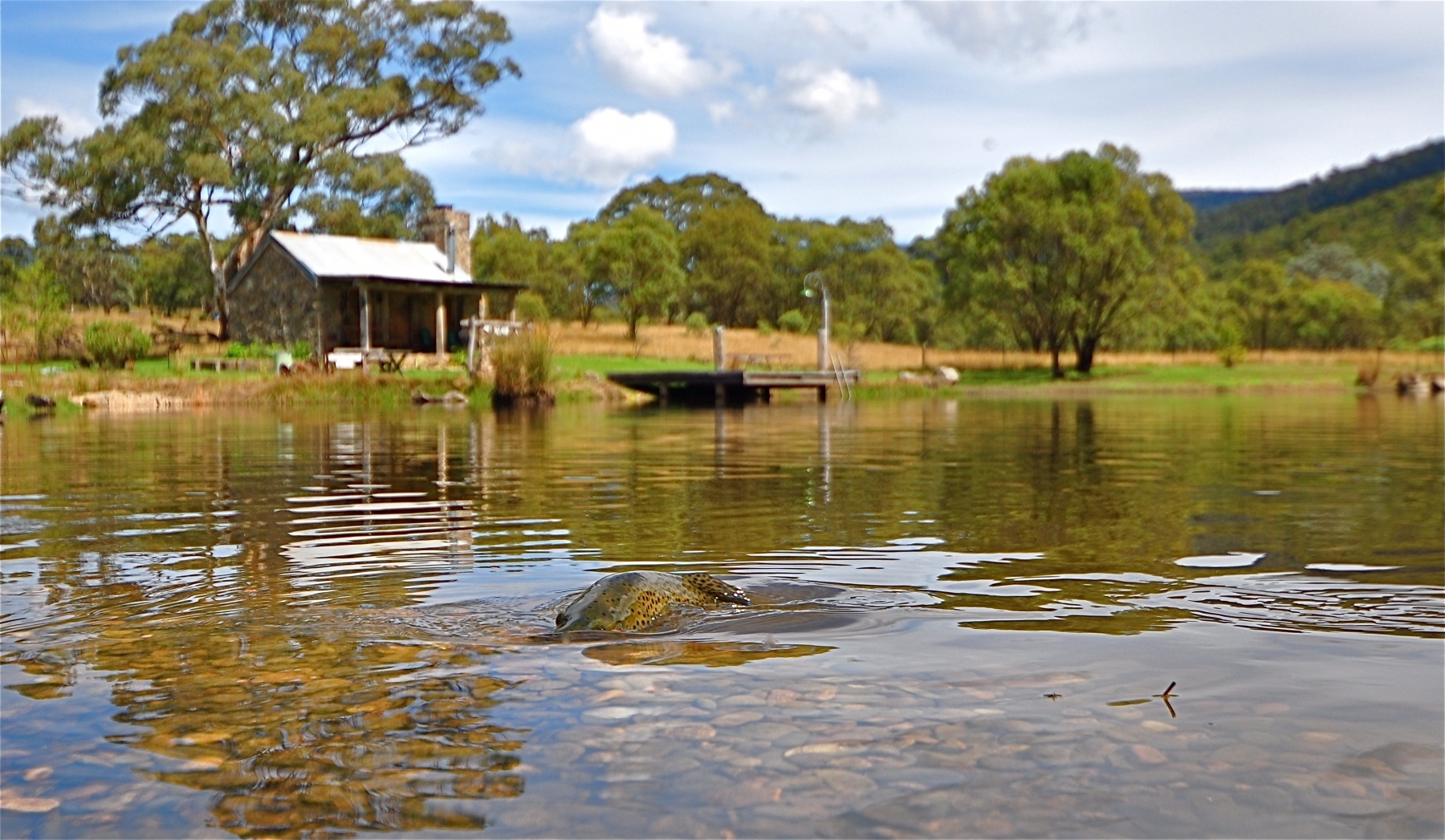 Moonbah Hut Photo Gallery - Moonbah Hut