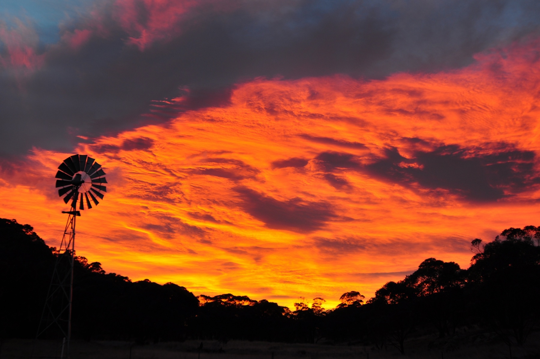 Moonbah Hut Photo Gallery - Moonbah Hut