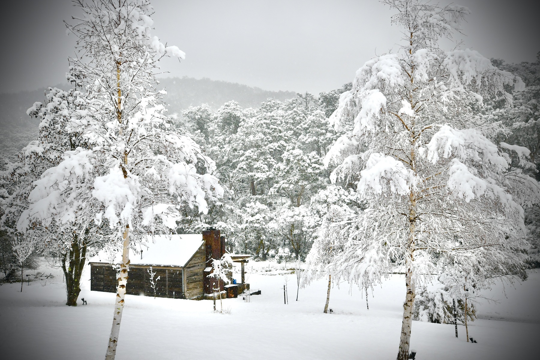 Moonbah Hut Photo Gallery - Moonbah Hut