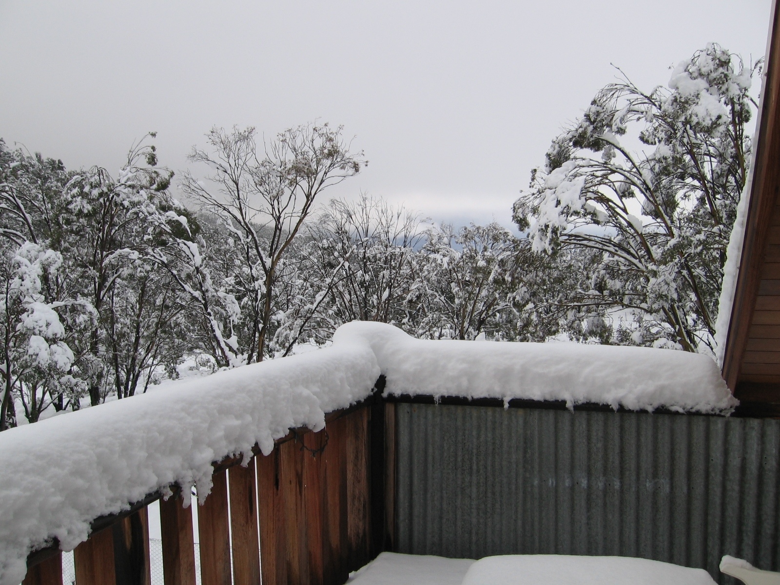 Moonbah Hut Photo Gallery - Moonbah Hut