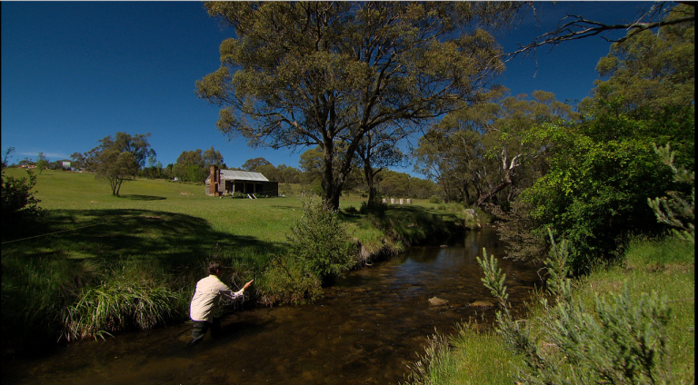 Moonbah Hut Accommodation - Moonbah Hut